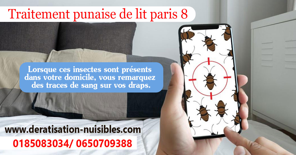 Traitement punaise de lit paris 8