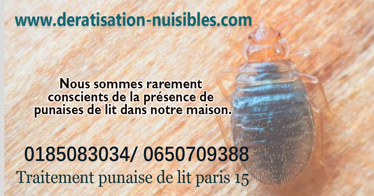 Traitement punaise de lit paris 15