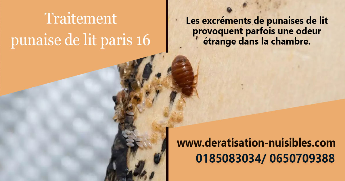 Traitement punaise de lit paris 16